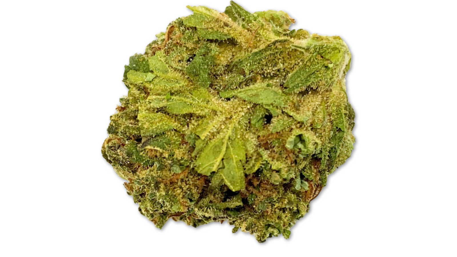 Durban Poison Strain