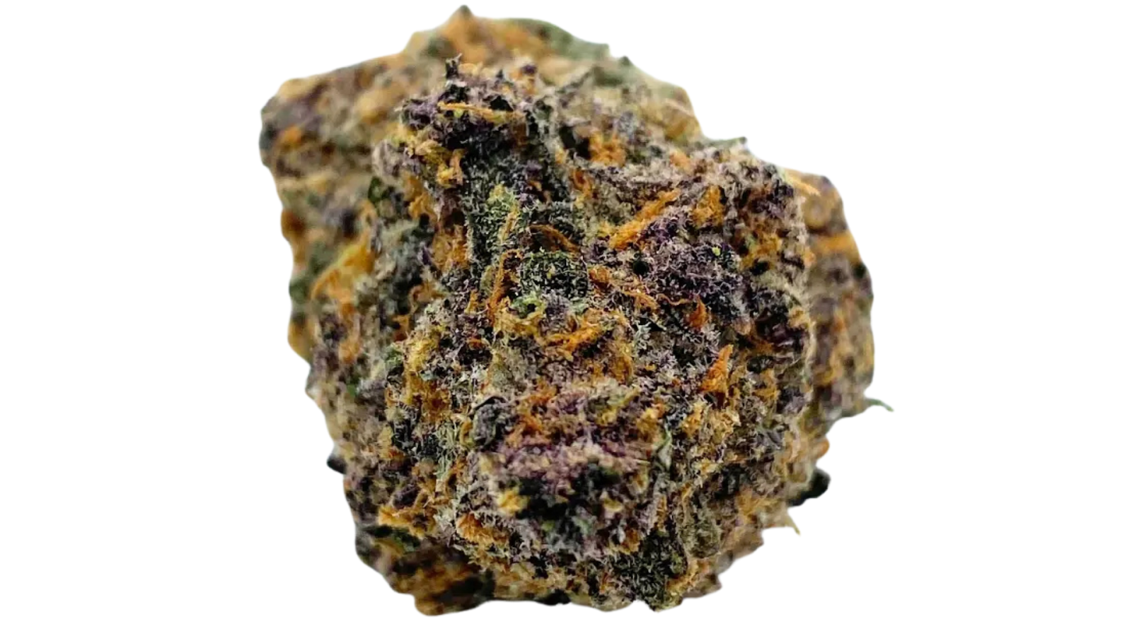 Tropicana Cherry Strain